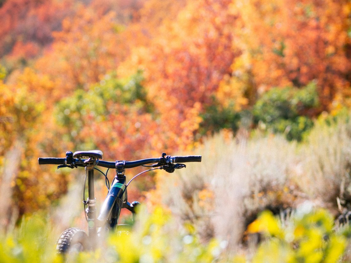 Our Favorite Fall Riding Shots | Park City Mountain Biking